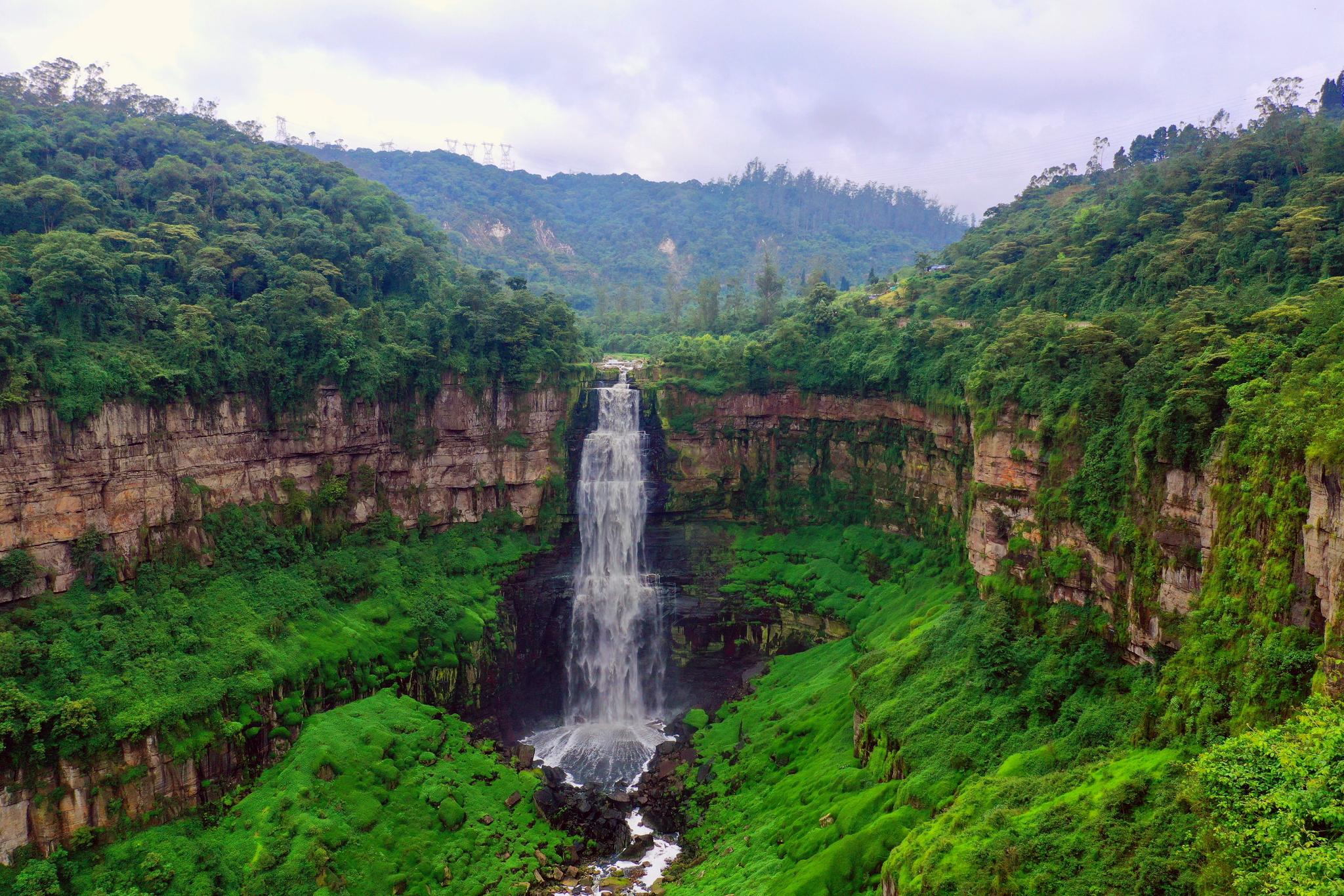 Amazonas | Federación Nacional de Departamentos